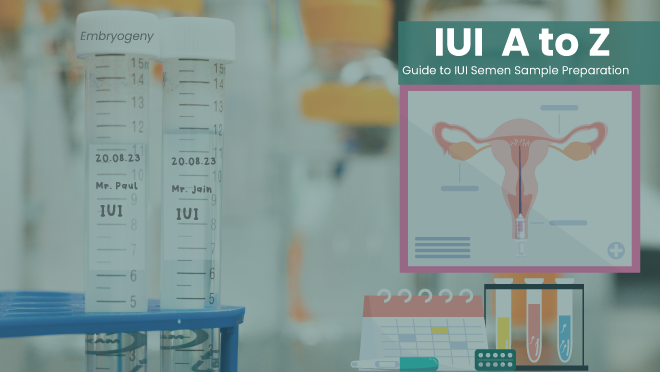 IUI Semen Sample Preparation