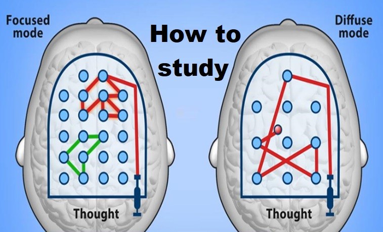 How to Learn More Productively: Smarter Study Strategies That Work